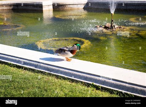 Sch Nbrunn Palace Hi Res Stock Photography And Images Alamy