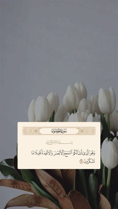 ايات خلفيات قران