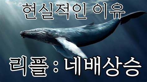 리플이 네배갈 수 있는 현실적인 이유 3가지 Youtube