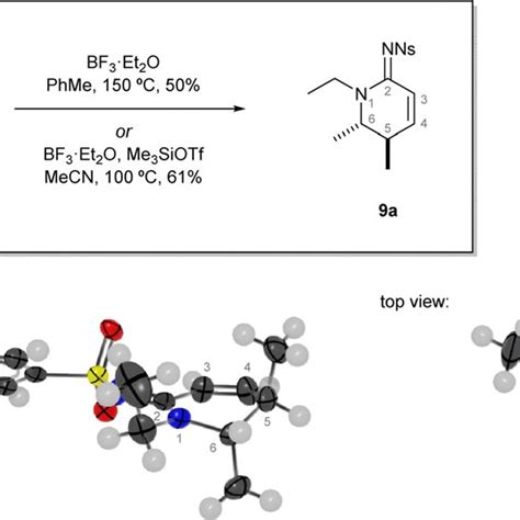 PDF Stereodefined Synthesis Of Cyclic Amidines By Domino 1 7 H Shift
