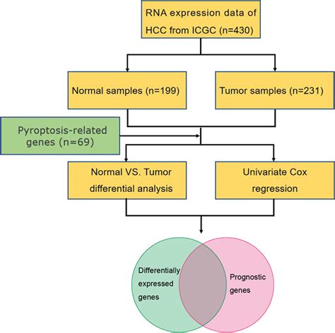 Flowchart Of The Identification Of Candidate Genes The Whole Gene