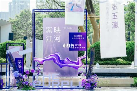 江河之上杭州的这抹紫开花了