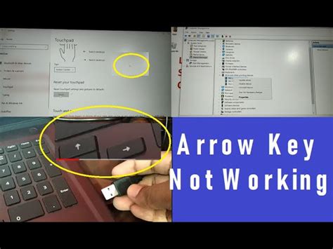 How To Fix Arrow Keys Not Working On Hp Laptop Quick Solutions Tpa Com