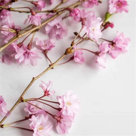 How Does A Scorpio Man Act When He Likes You Sasstrology