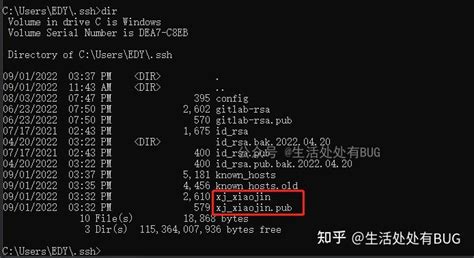 Ubuntu生成pem证书连接服务器（已验证） 知乎