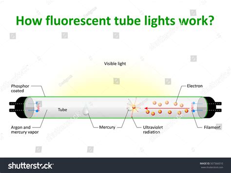 Fluorescent Lights How They Work