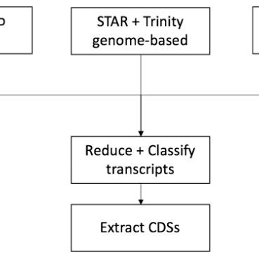 Overview Of The Main Steps For Predicting The B Mandrillaris Proteome Download Scientific