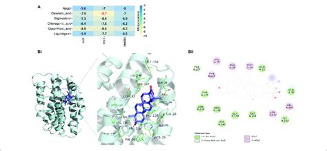 Interactions And Potential Binding Modes Of Dcp Components And The