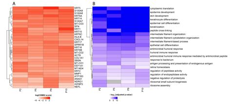 Spin Ai A Deep Learning Model That Identifies Spatially Predictive Genes