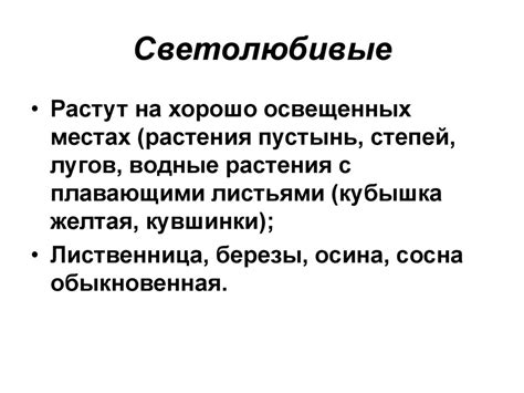 Экологические группы растений по отношению к свету презентация онлайн