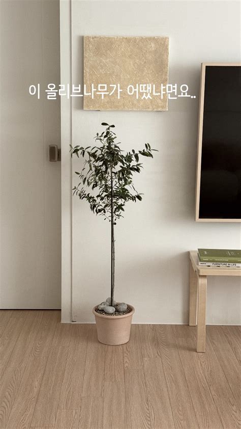 어반데이 조소현 신혼집인테리어 🪟아침에 환기한번 싹 해주고 바로 공기청정기 On🩵 요즘은 Ai 시대라 쿠쿠 공기청정기도 스마트 듀얼청정센서로 전원만 켜주면