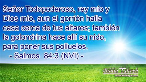 Salmos 843 Nvi Señor Todopoderoso Rey Mío Y Dios Mío A