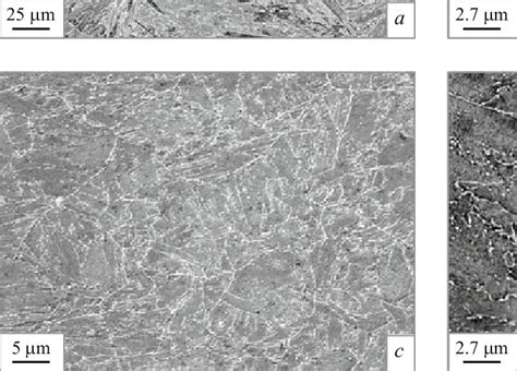 Microstructure Of Troostomartensite In Steel 10kh9v2mfbr After Download Scientific Diagram