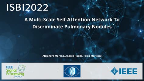a multi scale self attention network to discriminate pulmonary nodules
