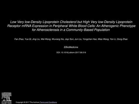 Low Very Low Density Lipoprotein Cholesterol But High Very Low Density