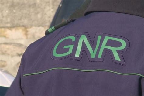 Dois Jovens Detidos Por Suspeita De Roubo A Mulher De 67 Anos