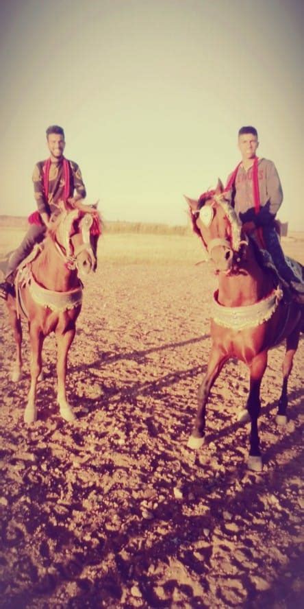 عشاق الخيل