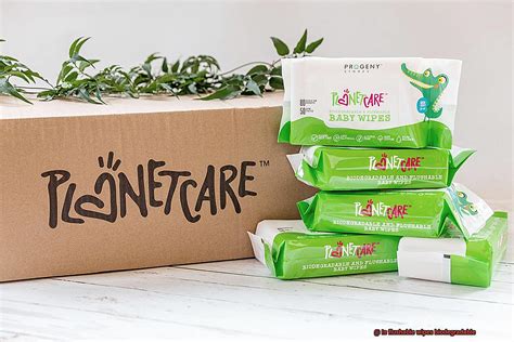 Is Flushable Wipes Biodegradable