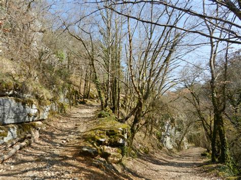 Compostelle Santiago El Camino Rocamadour Les énergies De La Terre