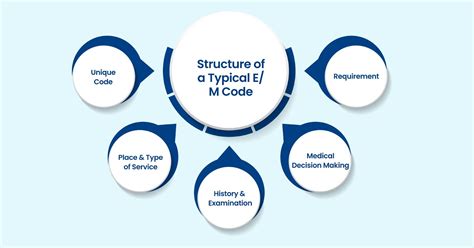 What Is E M Coding A Complete Guide To E M Services