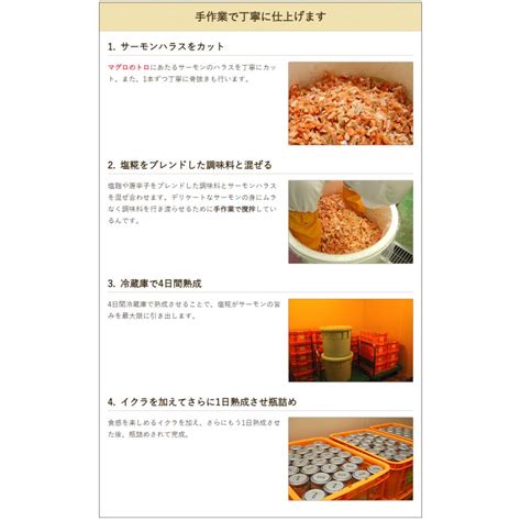 サーモン塩辛 200g×2本後払い決済不可株式会社 三幸送料無料 新潟直送計画 Yahooショッピング店 通販 Yahoo