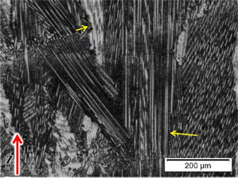 Laser Powered Directed Energy Lp Ded 1070 W Optical Microscopy Of