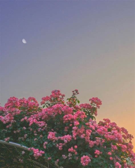 오늘의 사랑 글귀 우리 사랑 이대로