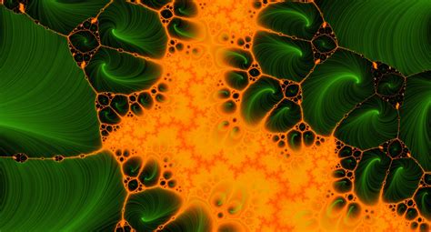 Chlorophyll 1 Free Stock Photo - Public Domain Pictures
