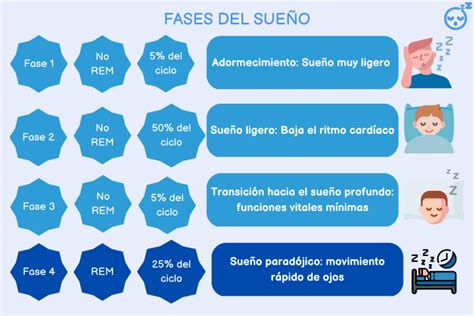 Descubre La Clave Del Bienestar Ciclos De Sueño En Adolescentes