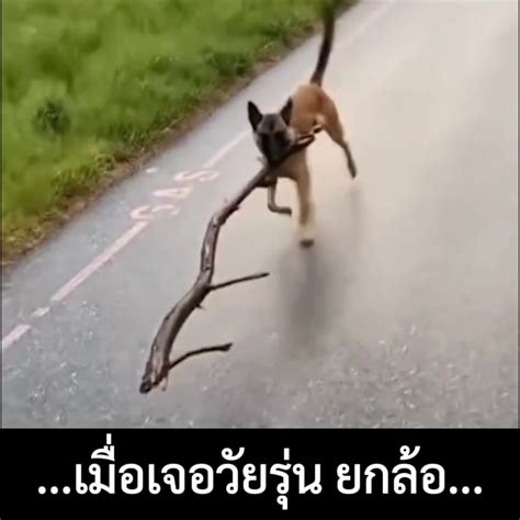 อดเลยตรู😝🤣 หวานเจี๊ยบ เปิดค่าการมองเห็น คลิปน่ารัก Funnyvideos