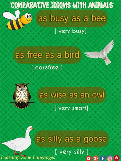Comparative Idioms Idioms Teaching Idioms English Idioms