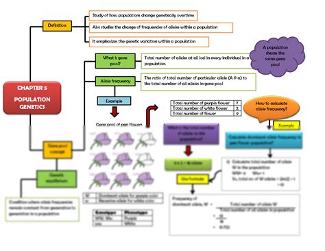 Population Genetics Definition