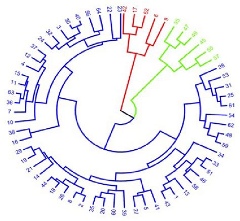 Dendrogram Representing The Genetic Dissimilarity Among The 64 P