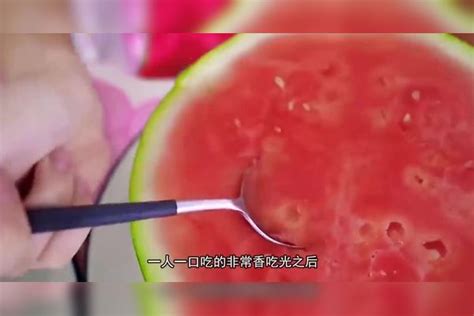 太有趣了！萌娃和小狗diy“西瓜史莱姆”，这玩法还是第一次见史莱姆小狗西瓜