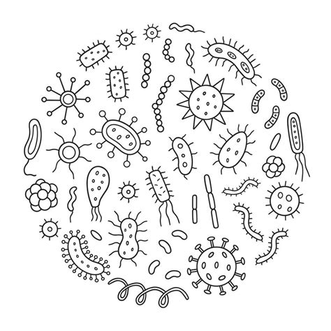 Bacteria And Viruses Doodle Set Microorganism In Sketch Style Hand