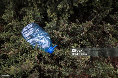 공원 숲에서 나무 바닥에 누워 있는 파란 큰 플라스틱 병재활용 되지 않은 쓰레기와 도시의 오염 및 자연의 부패 된 쓰레기 개념에 대한 스톡 사진 및 기타 이미지 Istock