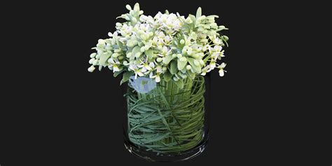 Collection Plant Vol 123 Blender Model 3d Model Cgtrader