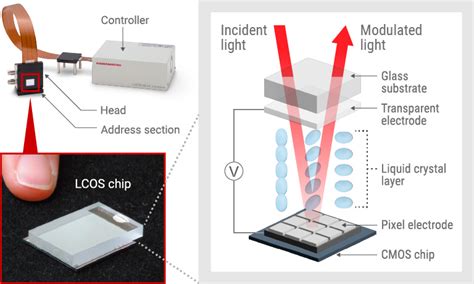 Principle And Structure Hamamatsu Photonics