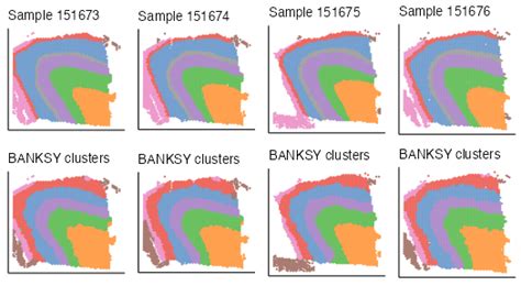 Multi Sample Analysis X Visium Human Dlpfc Banksy