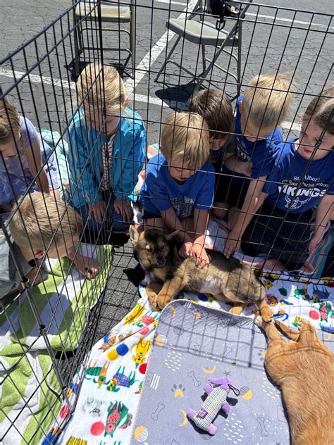 St Albert The Great School St Albert The Great School