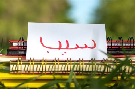 Persian Language Evolution How Old Persian Became Farsi