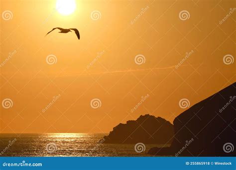 Unas Vistas Cautivadoras De La Puesta De Sol Dorada Sobre El Mar Foto