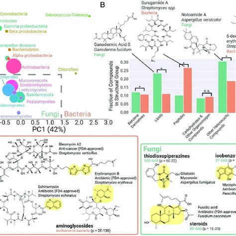 Fungal Bgcs Are Distinct From Their Canonical Bacterial Counterparts