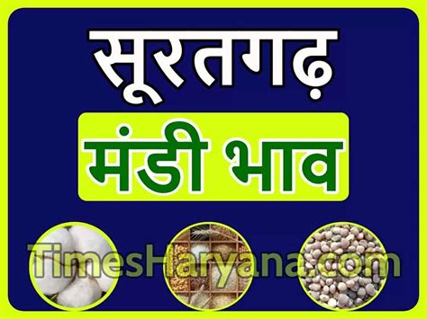 सूरतगढ़ मंडी भाव 24 फरवरी 2023 राज मंडी भाव Today । Suratgarh Mandi