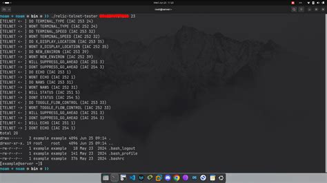 Creating A Simple Telnet Client In C The Lazy Admin Blog