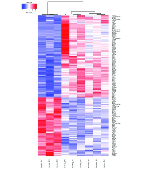 Heat Map Of Overlapping Differentially Expressed Genes Q
