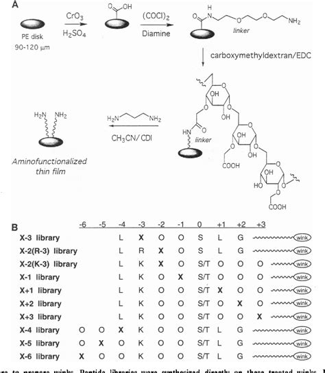 Figure From The Specificity Of The Transforming Growth Factor Beta