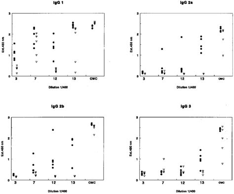 Igg Subclass Responses In Individual Sera From Groups 3 7 12 And 13