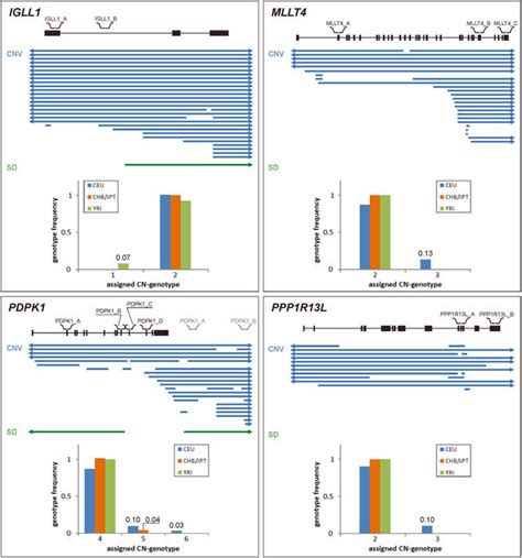 Detailed Characteristics Of All Polymorphic Genes Identified In This Download Scientific