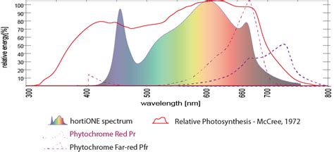 Light Spectrum And Absorption Curves For Horticulture
